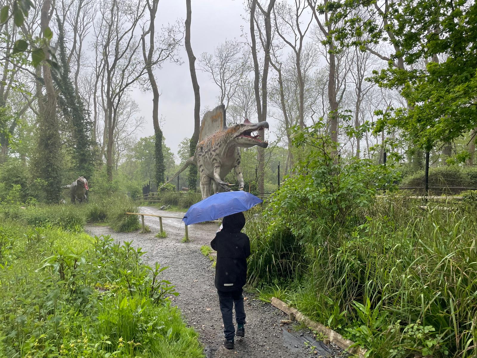 Dino Mania - Selina Man Karlsson